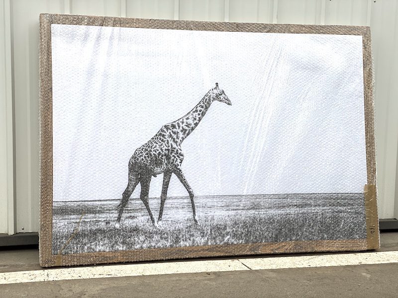 Cuadro de Graham Springer Jirafa - Casa África